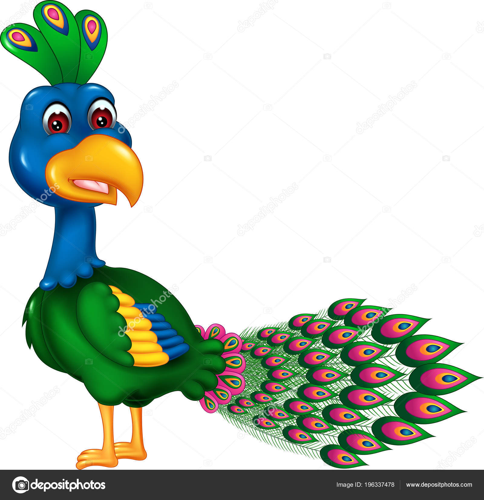 Cartoon peacock face | Cute Peacock Cartoon Standing Smiling Look Face ...