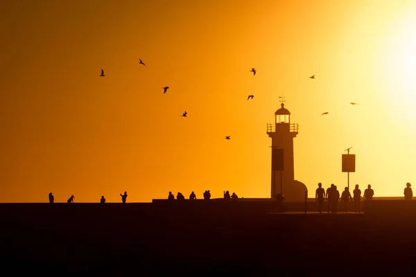 A group of people stand near a lighthouse before sunset with seagulls ...