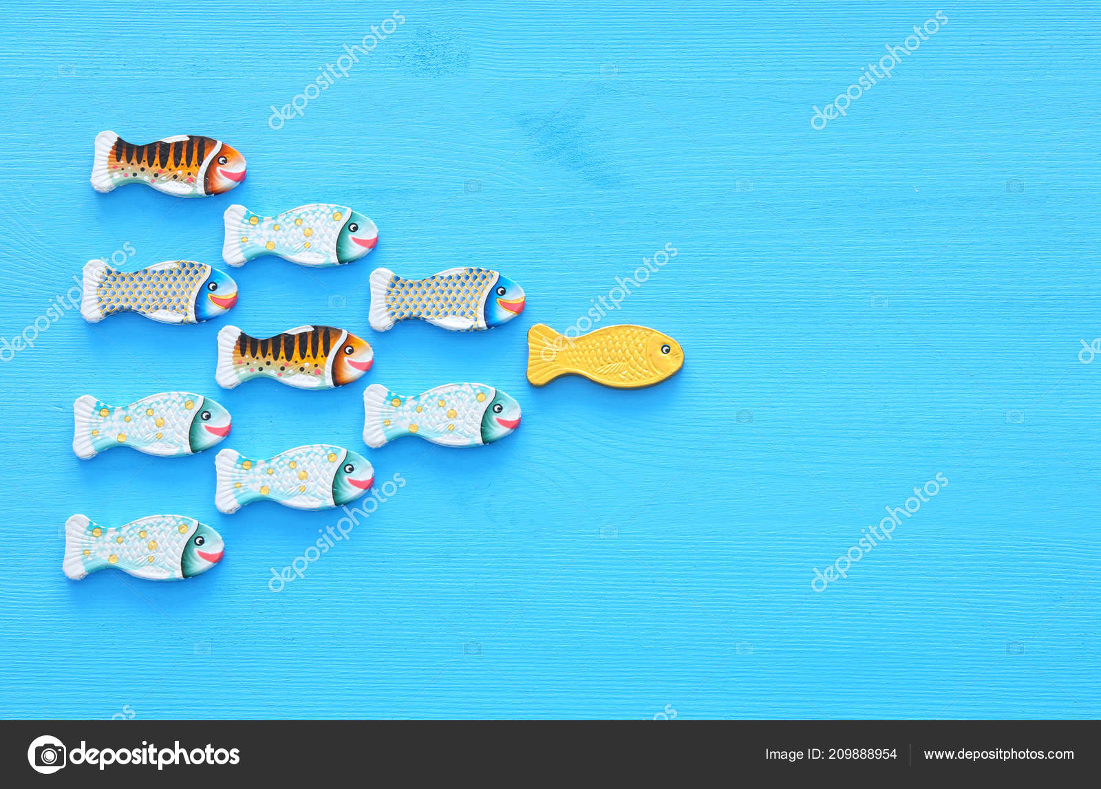 Leadership Concept Swimming Fish Wooden Background One Leader Leads ...