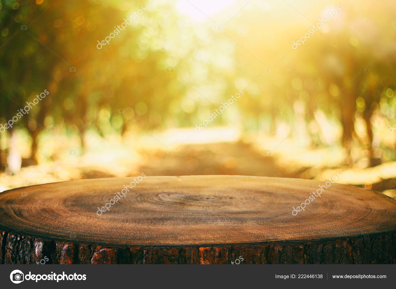 Image Front Rustic Wood Boards Background Forest Stock Photo by ©tomert ...