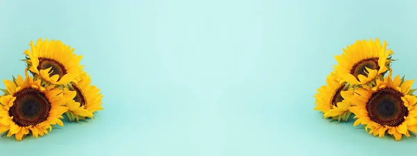 Sunflowers Twitter Headers Tumblr