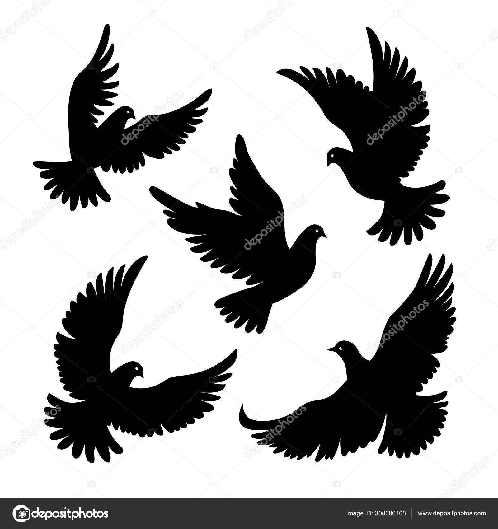 Set siluet merpati. Vektor ilustrasi. Burung terbang . Vektor Stok oleh ...
