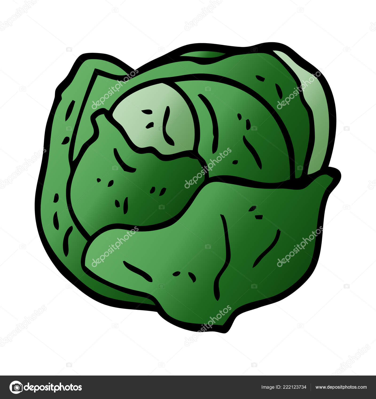 Cartoon Doodle Cabbage White Stock Vector Image by ©lineartestpilot ...