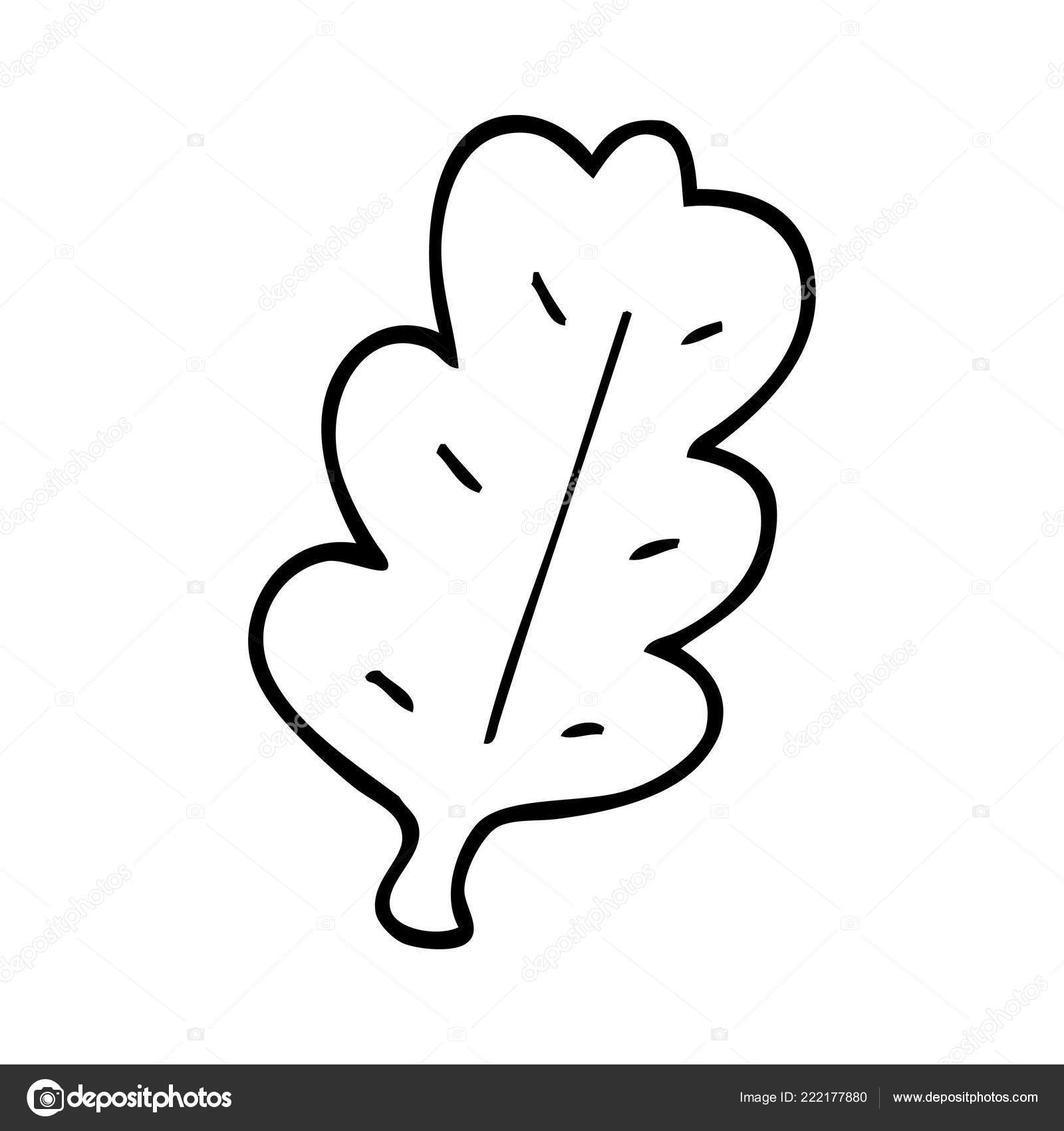 Line Drawing Cartoon Leaf Stock Vector by ©lineartestpilot 222177880