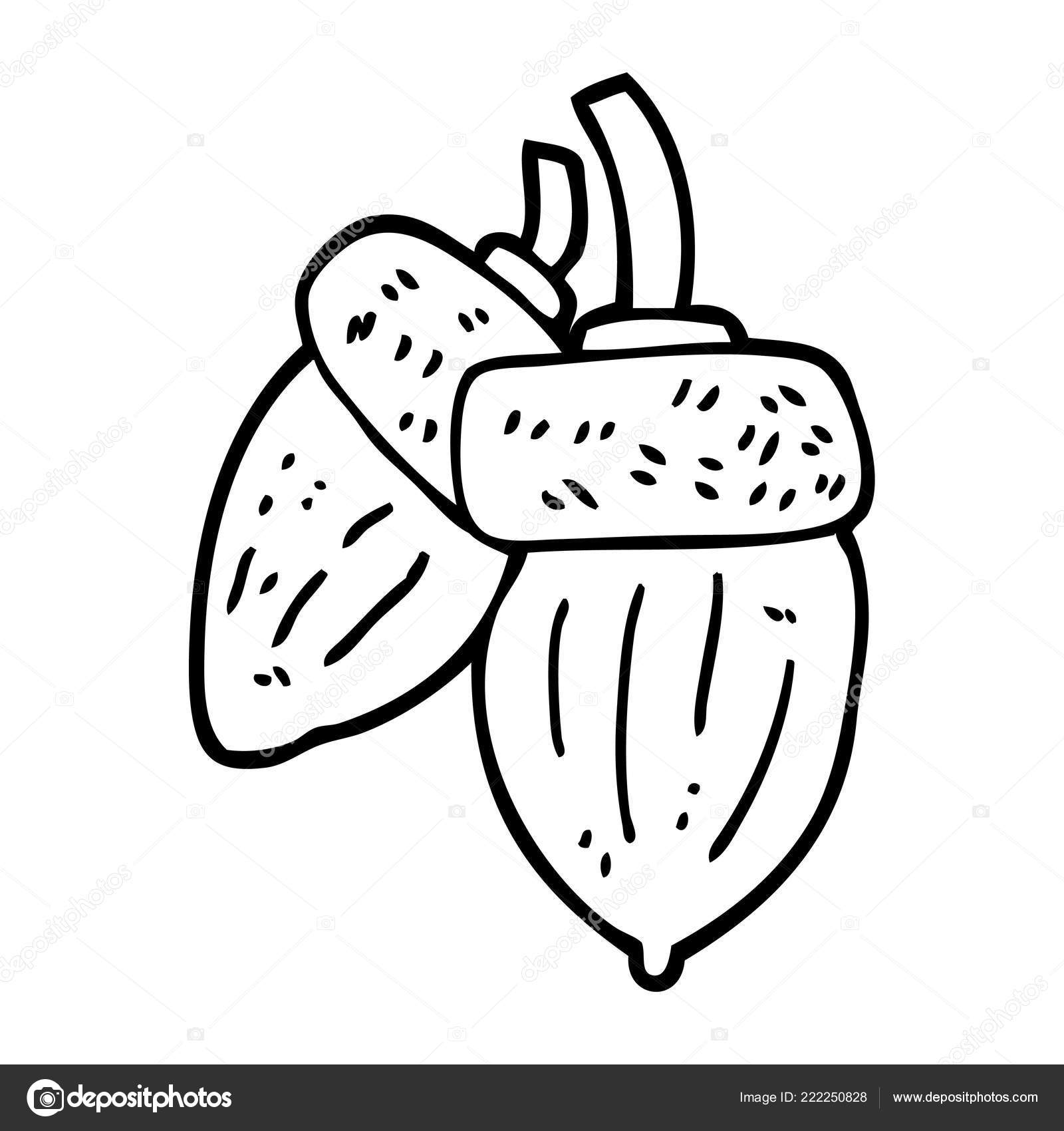Dibujo Animado Doodle Bellota Ilustración Vector de stock #222250828 de ...