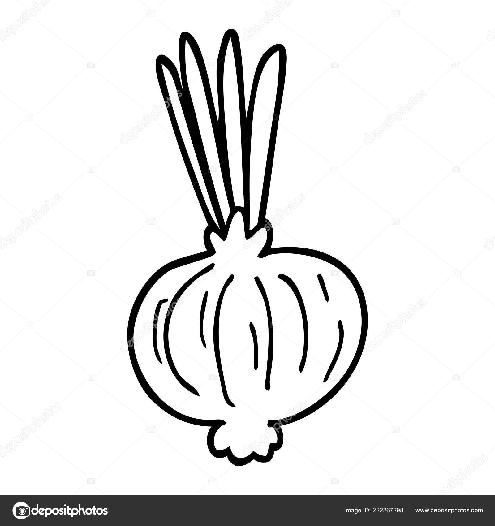 Line Drawing Cartoon Onion — Stock Vector © lineartestpilot #222267298