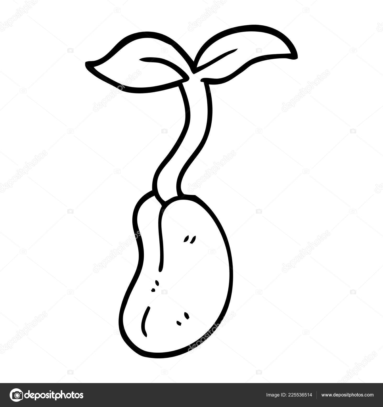 Line Drawing Cartoon Seedling Stock Vector by ©lineartestpilot 225536514