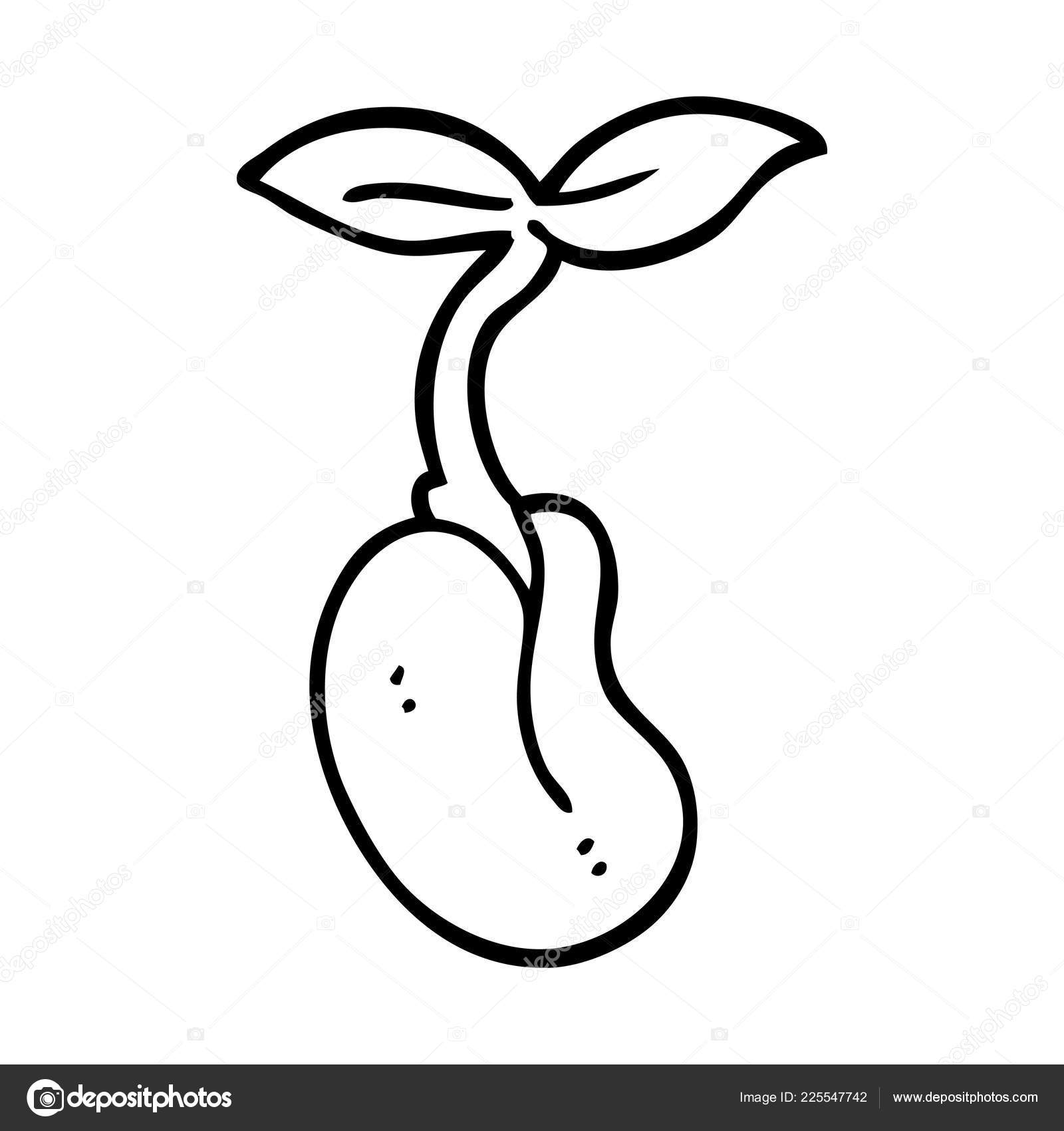 Line Drawing Cartoon Seedling Stock Vector by ©lineartestpilot 225547742