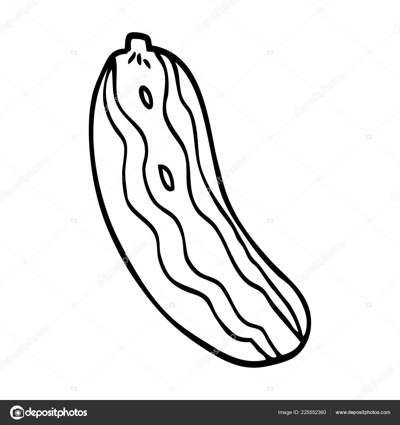 Line Drawing Cartoon Marrow Plant Stock Vector Image by ...
