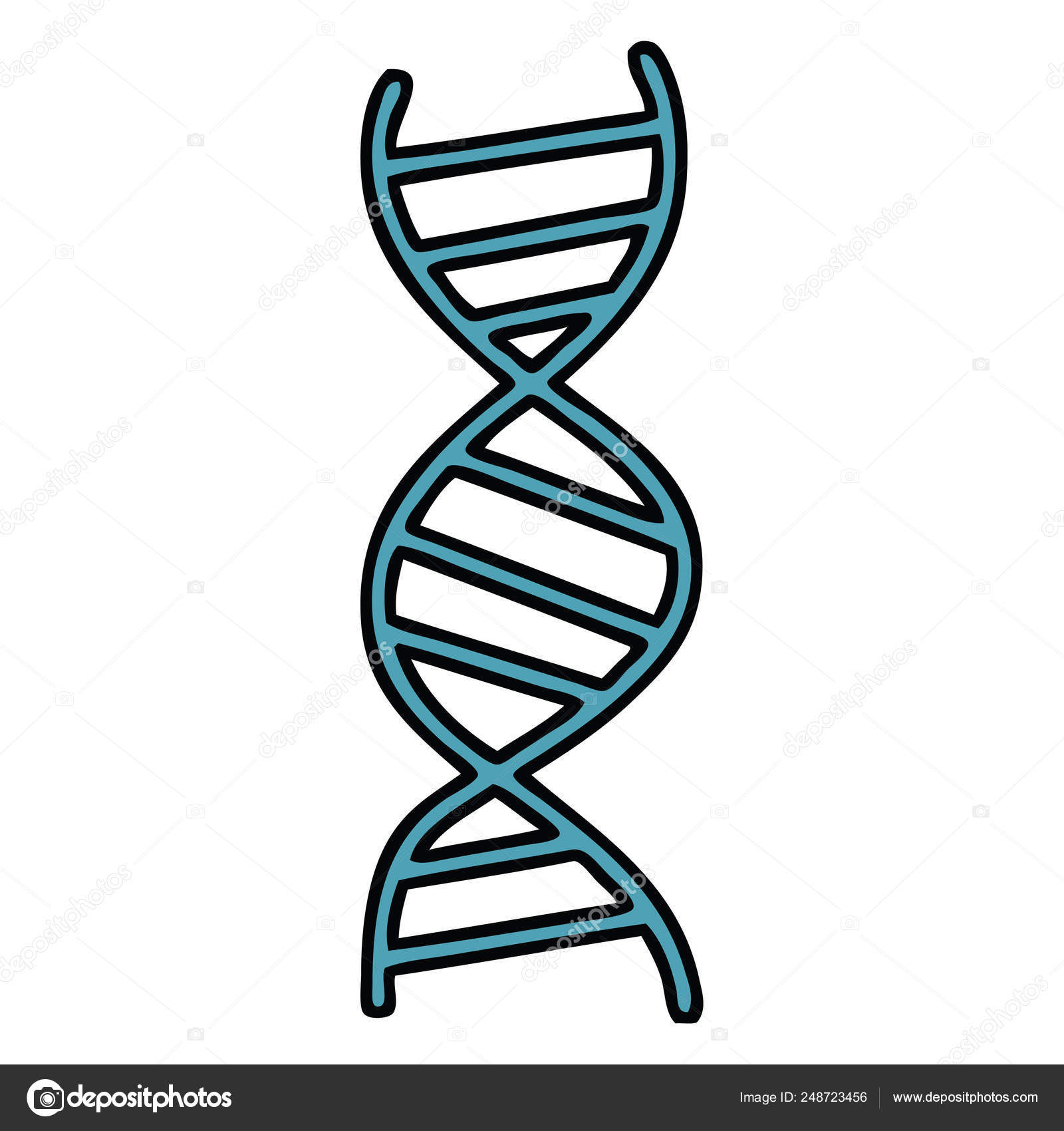 Cute cartoon DNA strand Stock Vector by ©lineartestpilot 248723456