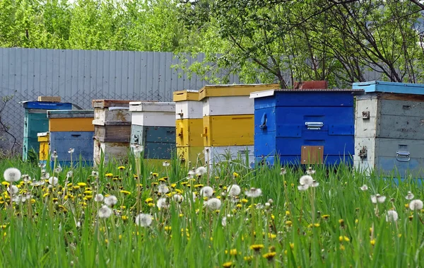 Beehive corner Stock Photos, Royalty Free Beehive corner Images ...