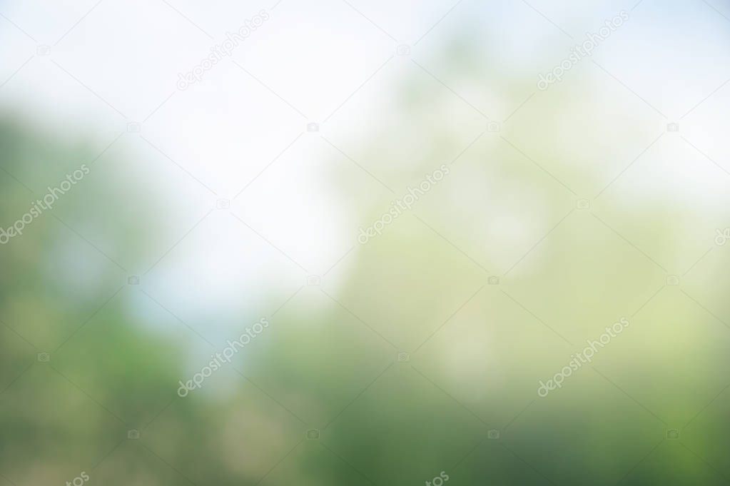 Fondo suave borroso. Fondo borroso de verano de árboles, hojas y flores ...