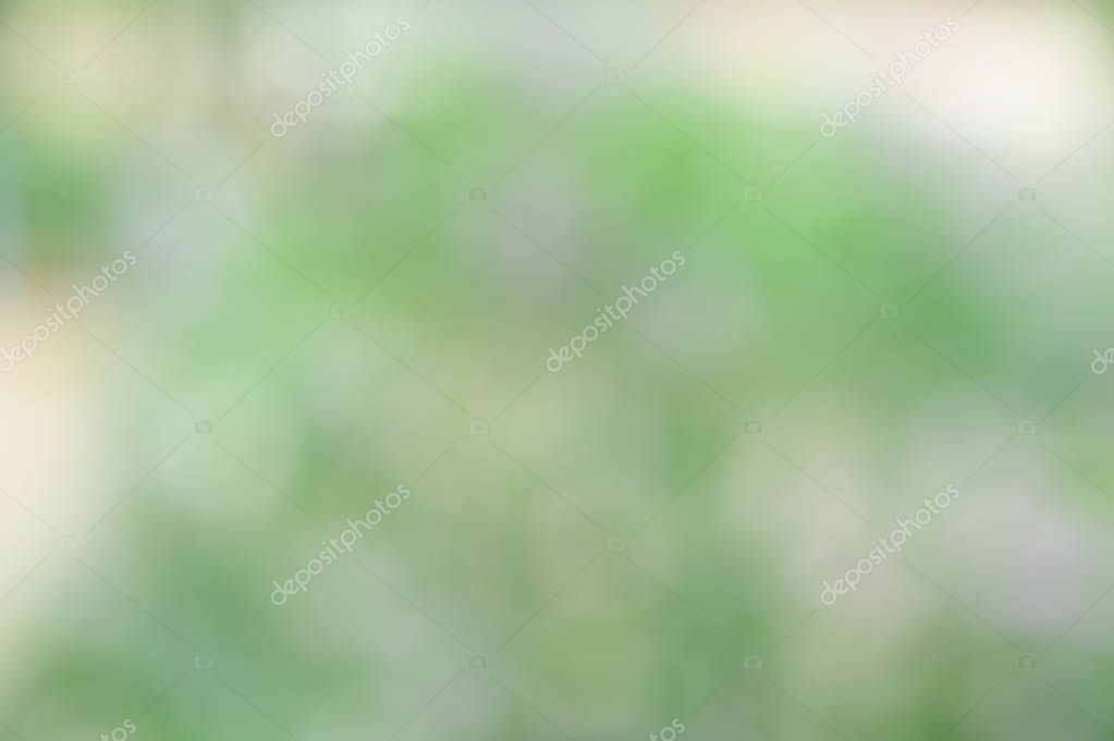 Fondo suave borroso. Fondo borroso de verano de árboles, hojas y flores ...