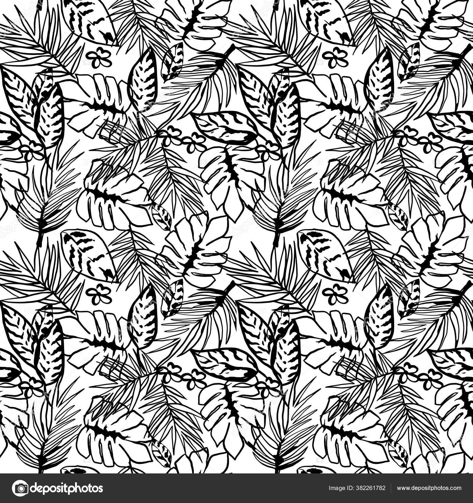 Tropical Background Images Clip Art Black And White