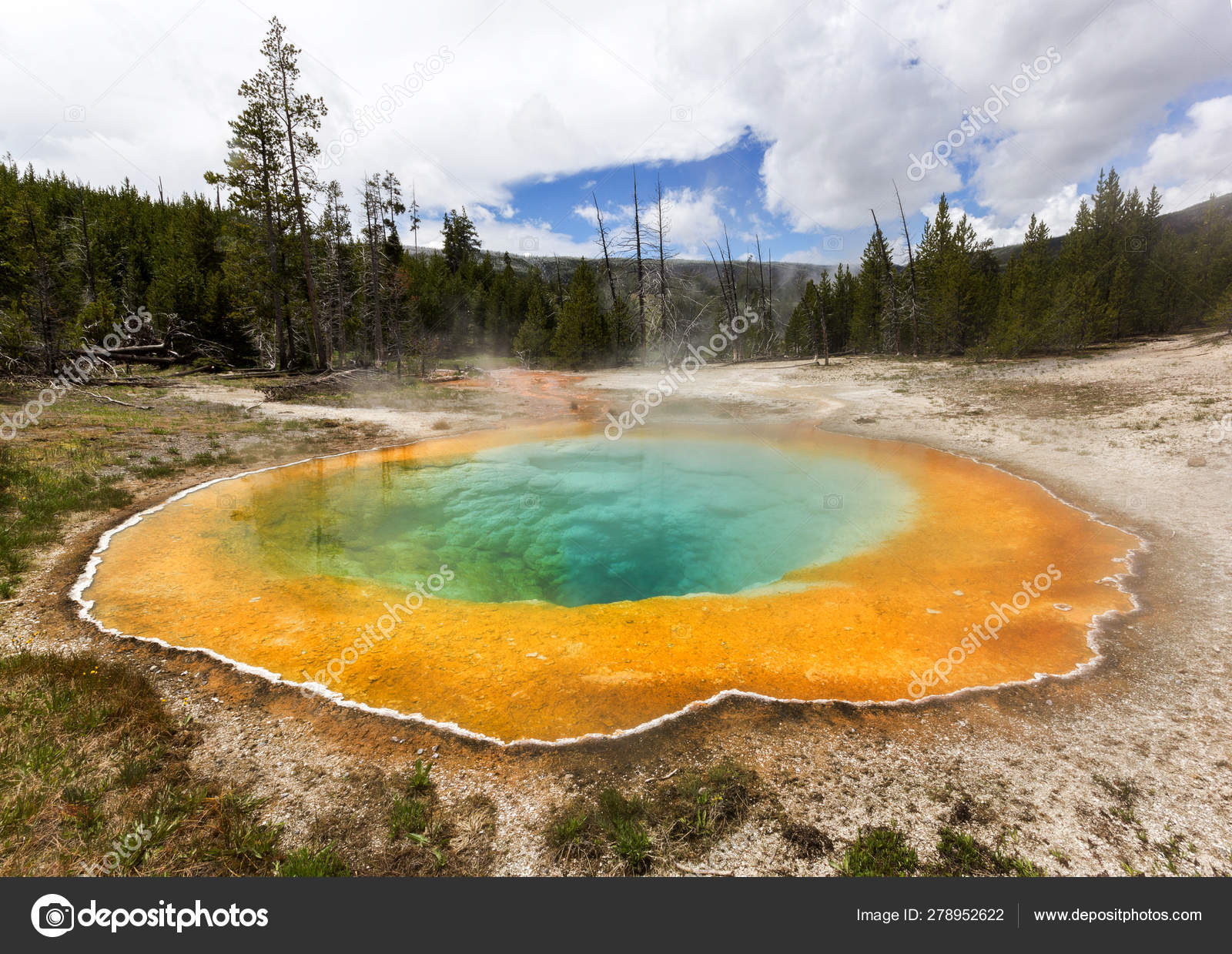 Morning Glory Hot Spring Pool Yellowstone National Park Wyoming Usa ...