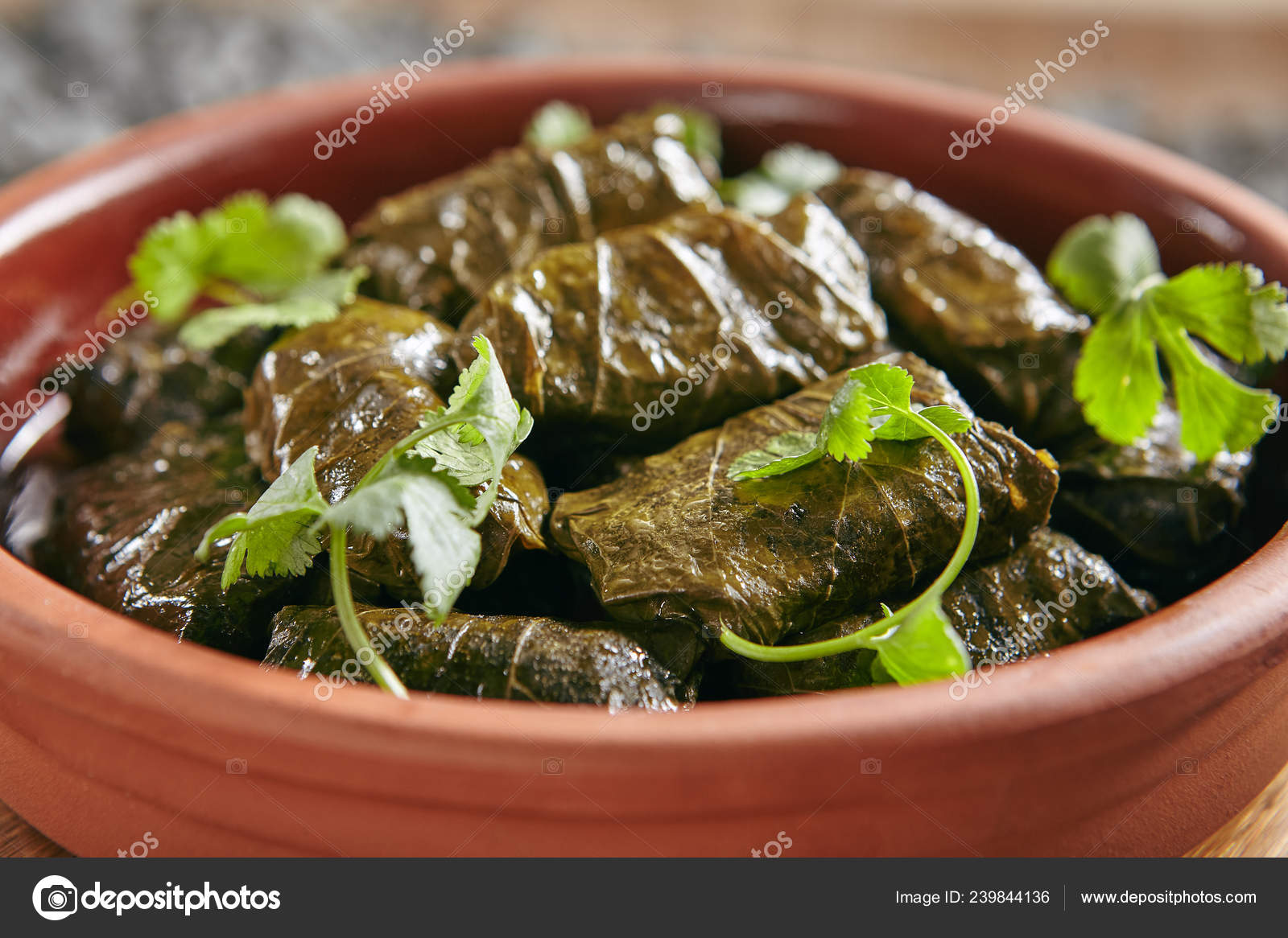Dolma Sarma Dolmades Stuffed Lamb Rice Close Selective Focus Homemade ...