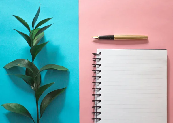 Pastel desk table with branch, notebook and pen. Top view with copy ...