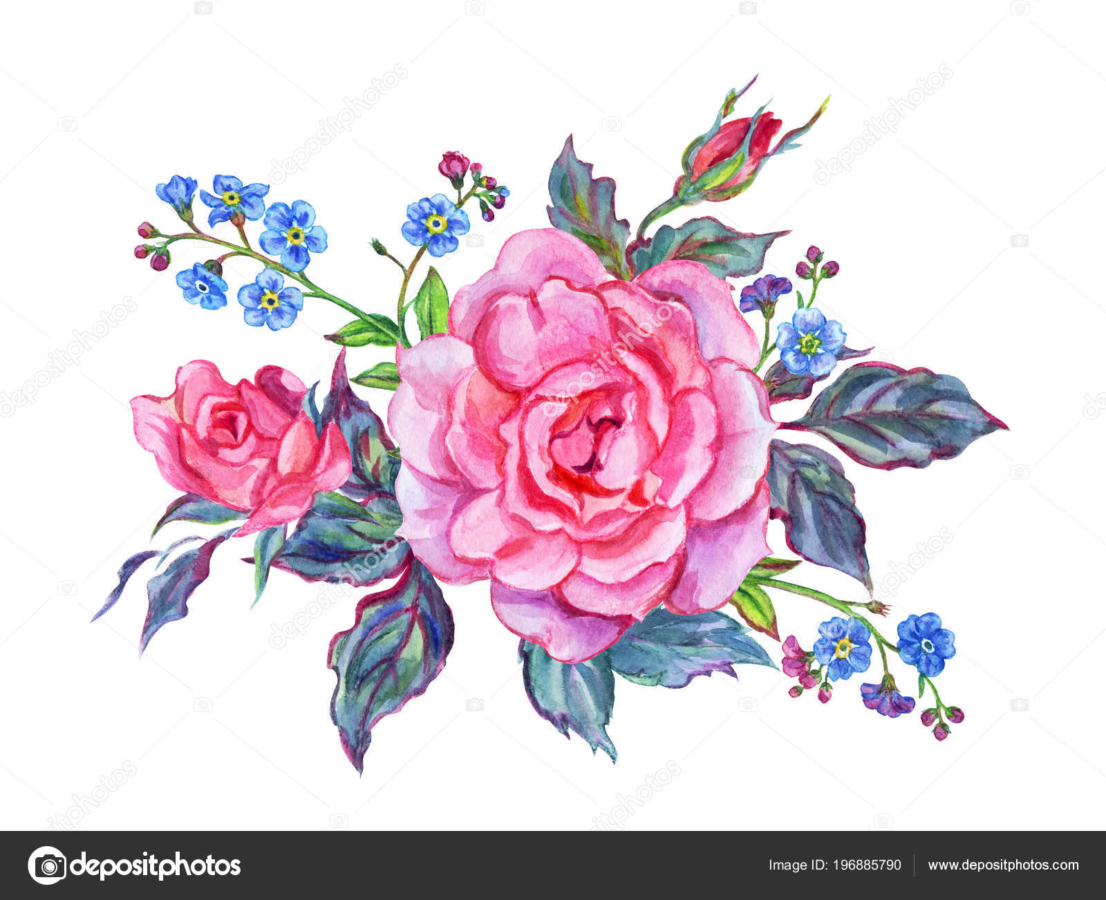 Bouquet Of Roses Drawing