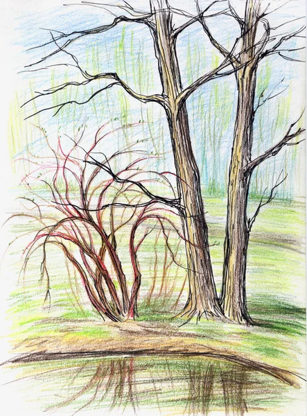 Landscape of a spring park with a small pond and trees, a pencil ...