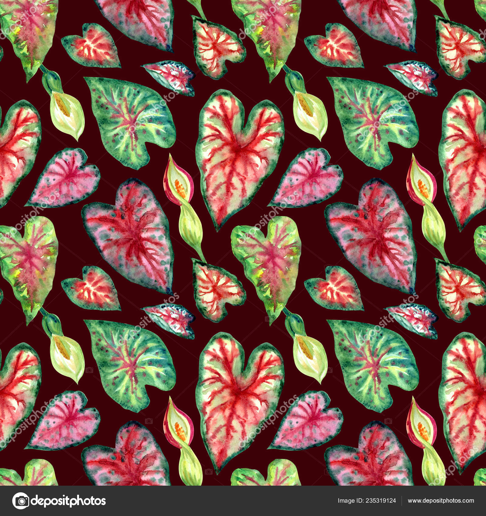 Seamless Pattern Tropical Plant Leaves Caladium Burgundy Background ...