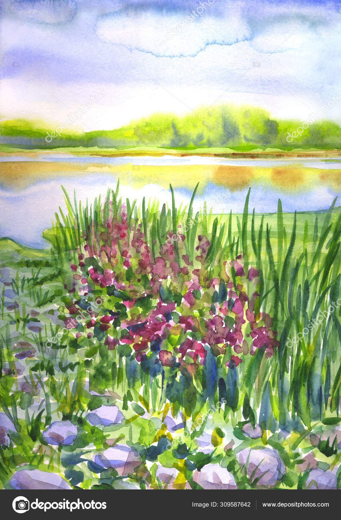 Landscape Rocky Flowering Riverside Watercolor Illustration Painting ...