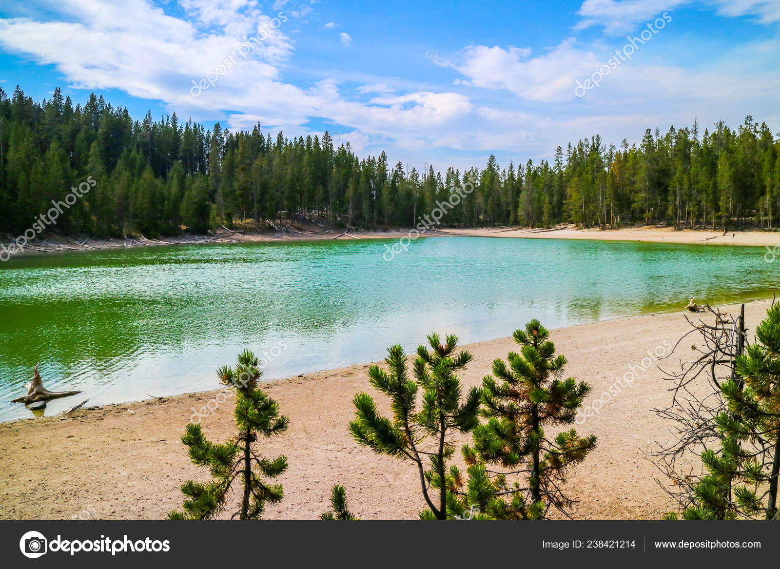 Very Small Crystal Clear Lake Forest Yellowstone National Park Wyoming ...