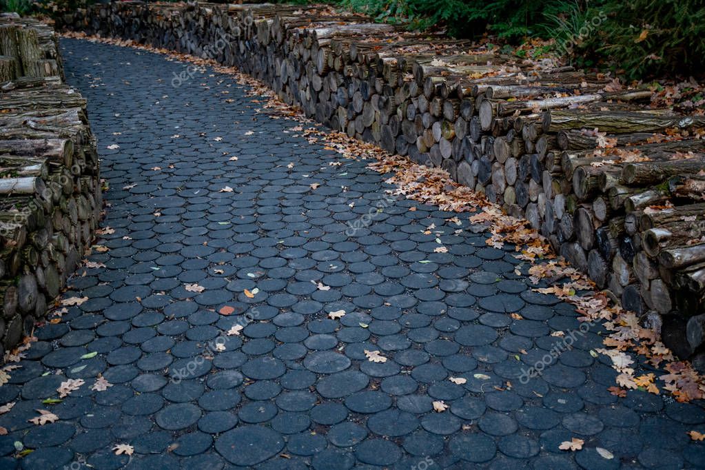 Paisaje otoñal de sendero curvo pavimentado con piezas redondas de ...