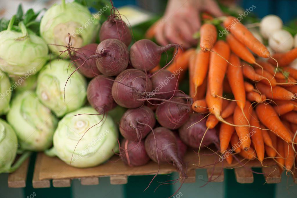 verduras frescas de raíz en el mercado semanal, se puede utilizar como ...