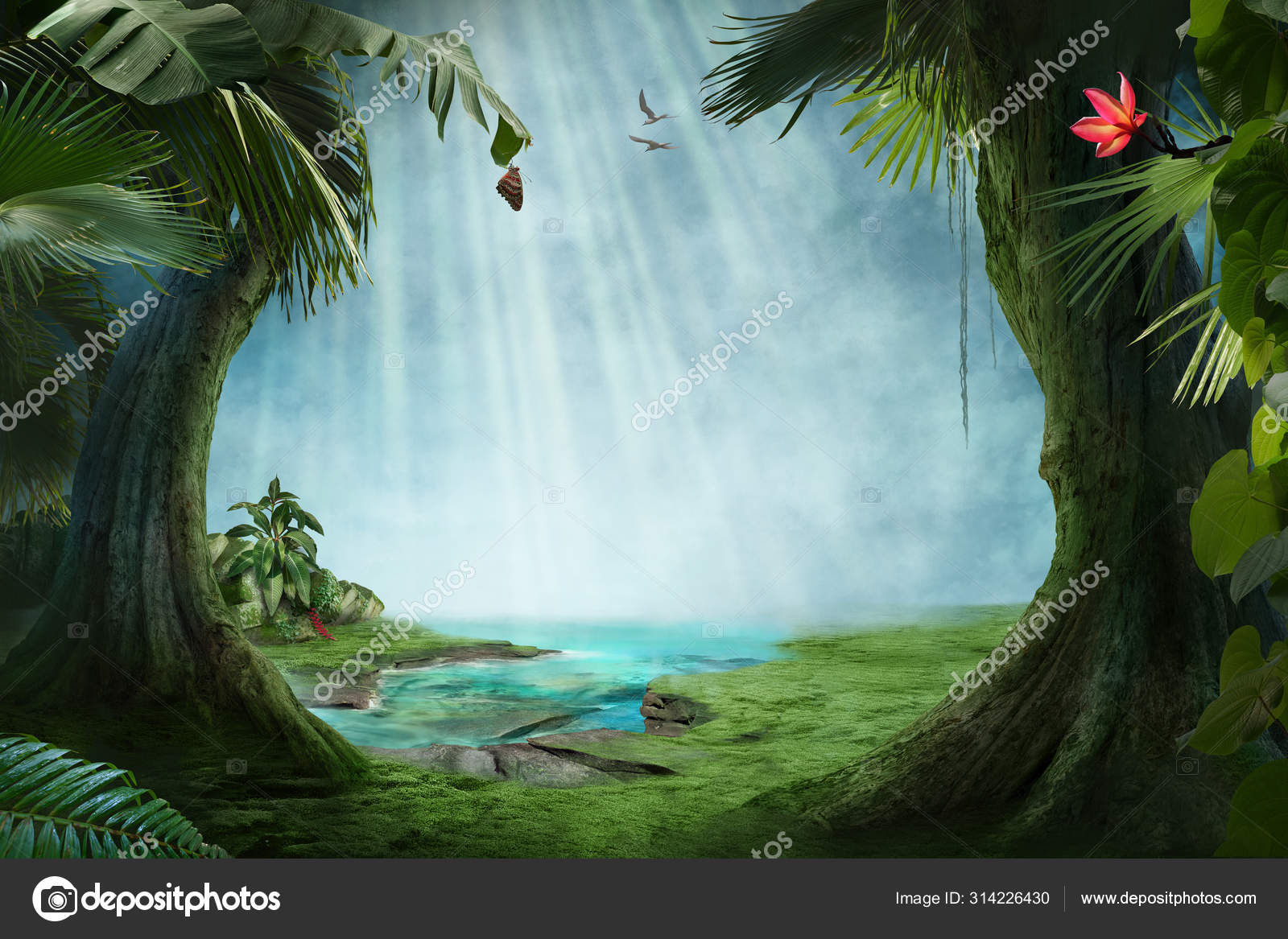 Beautiful Rainforest Trees