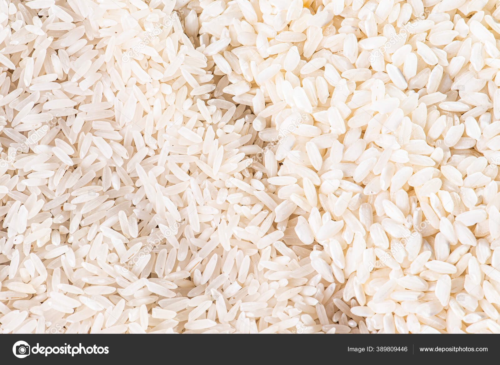 Two Types Rice Grains Seen — Stock Photo © flanovais #389809446