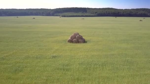 Motion round single hayrick stacked on grass field by forest — Stock ...