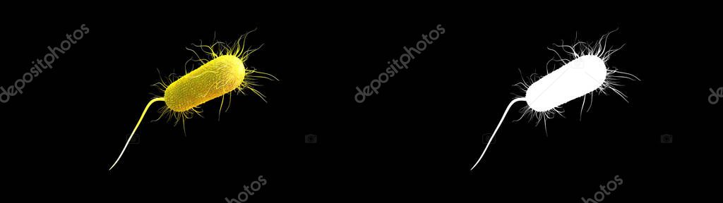 Pseudomonas Stock Photos, Royalty Free Pseudomonas Images | Depositphotos