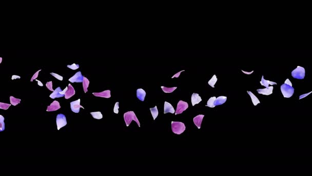 Animation Flower Petals Flow Alpha Layer — Stock Video © galactarte ...