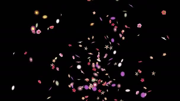 Animation Flower Petals Flow Alpha Layer — Stock Video © galactarte ...
