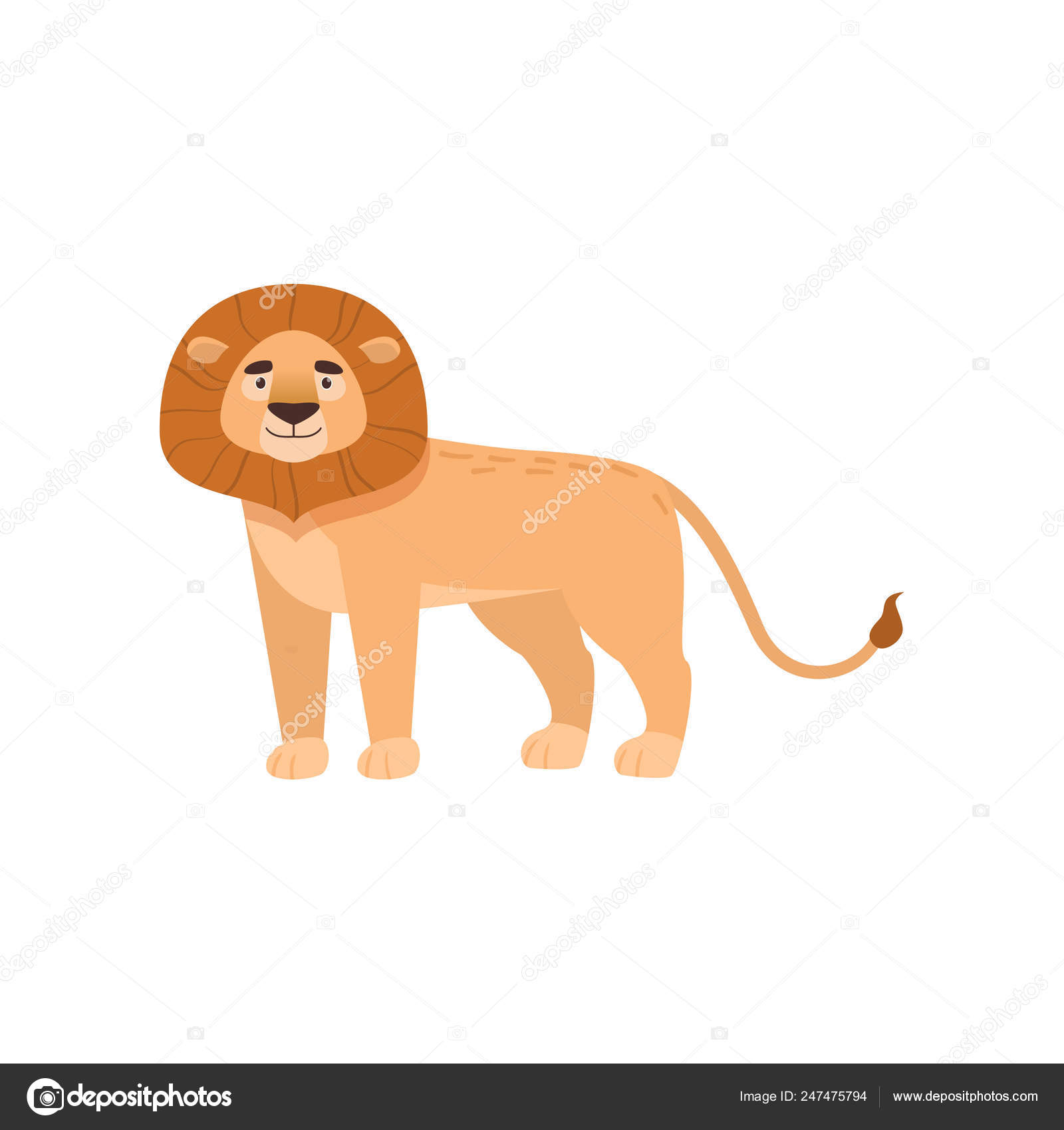 Benignant lion stands sideways isolated on white background Stock ...