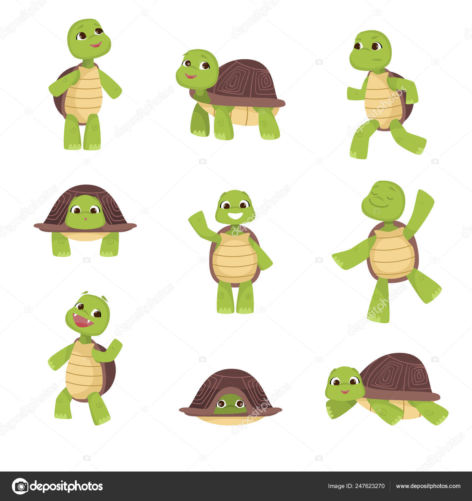 Simpatiche Tartarughe Animate