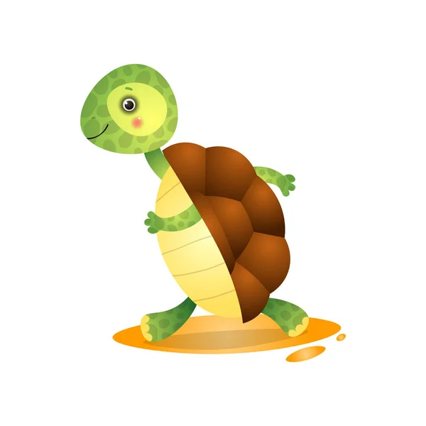 535 Running turtle Stock Photos | Free & Royalty-free Running turtle ...