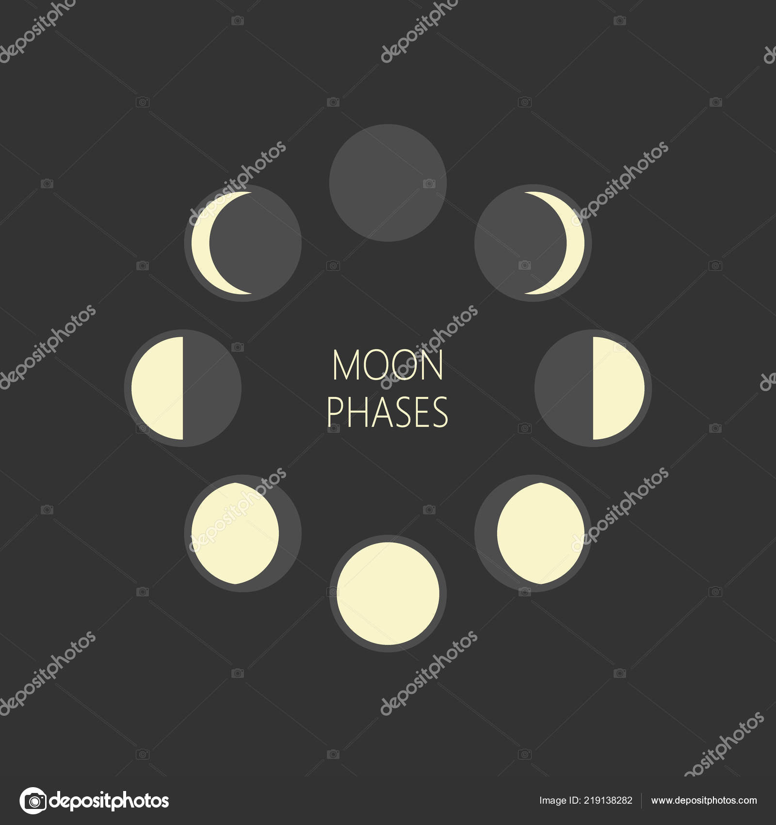 Fases Lunares Ilustración Vectorial Redonda Ciclo Fase Lunar Iconos ...