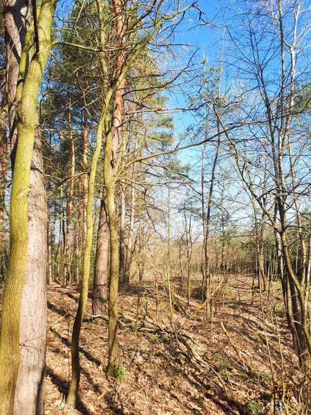 Breckland Stock Photos, Royalty Free Breckland Images | Depositphotos