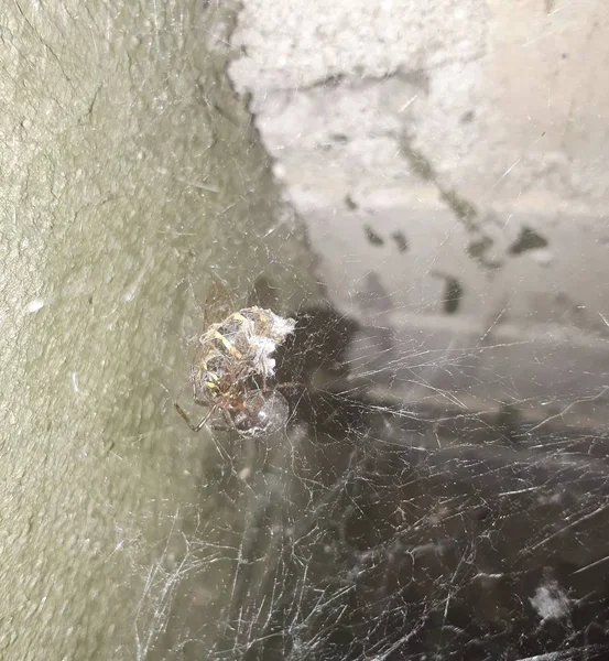 Free fire kad kathom in a sa in the bathroom in a yard and fotografie ...