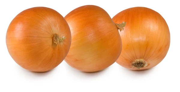 Trois gros oignons images libres de droit, photos de Trois gros oignons ...