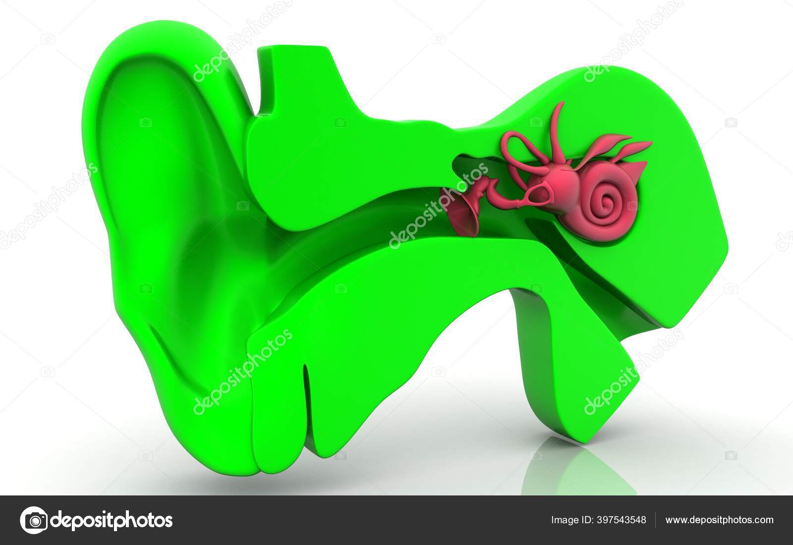Illustration Inner Ear Cochlea Color Background Stock Illustration by ...