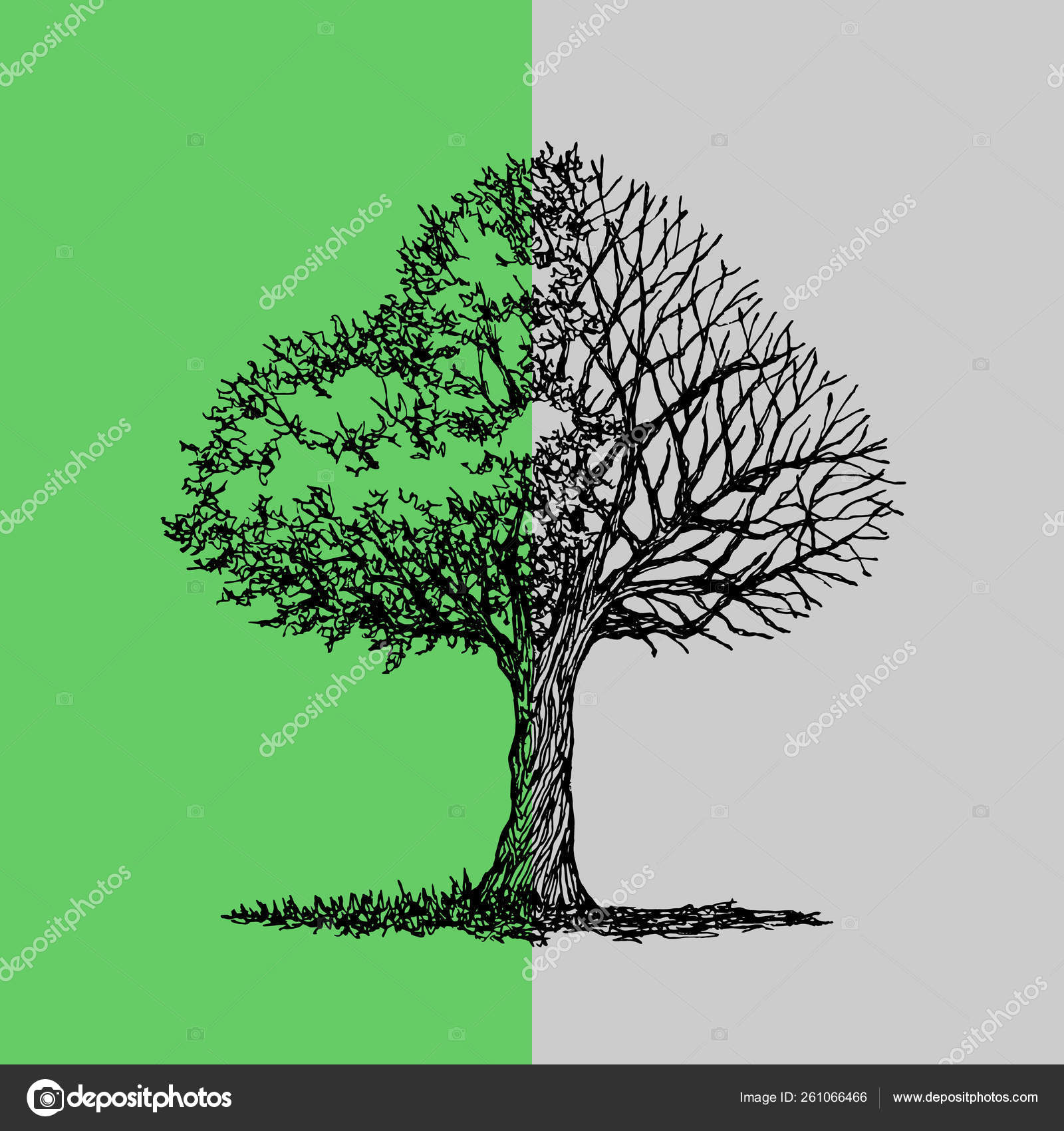 Abstract tree half green leave and black dry branch, spring autumn hand ...
