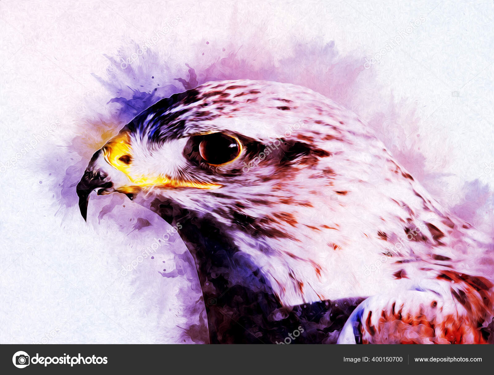 Falcon Landing Swoop Hand Draw Paint Color Background Illustration Hawk ...