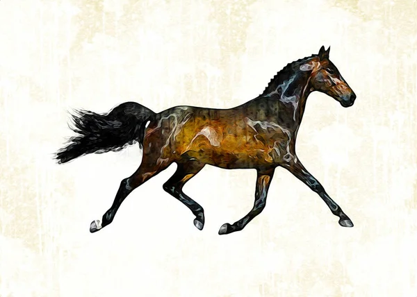 A mula Stock Photos, Royalty Free A mula Images | Depositphotos