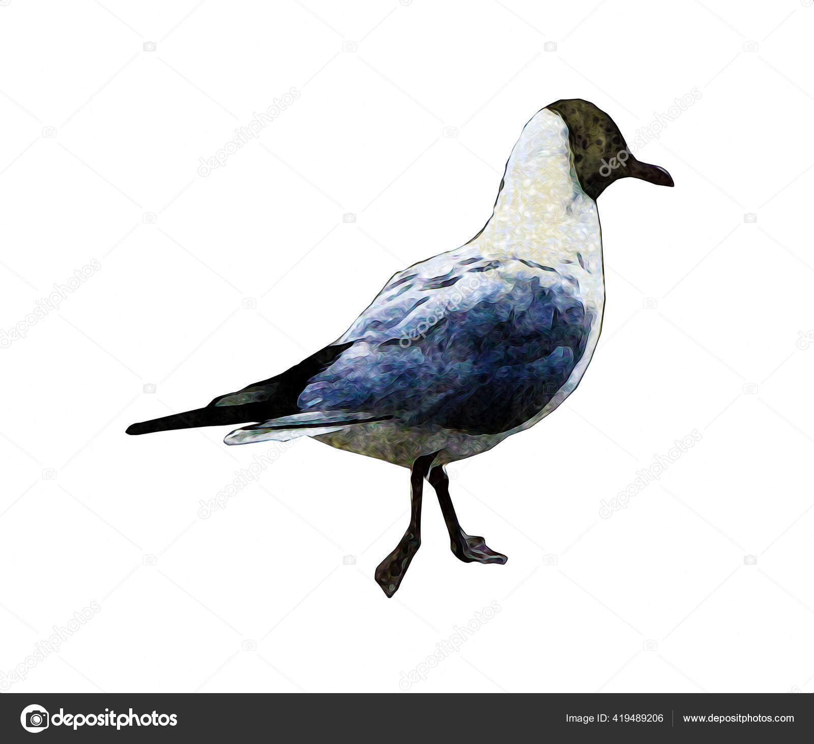 Atlantic White Seabird Fly Sky Beach Seagull Sea Birds Gull Stock ...