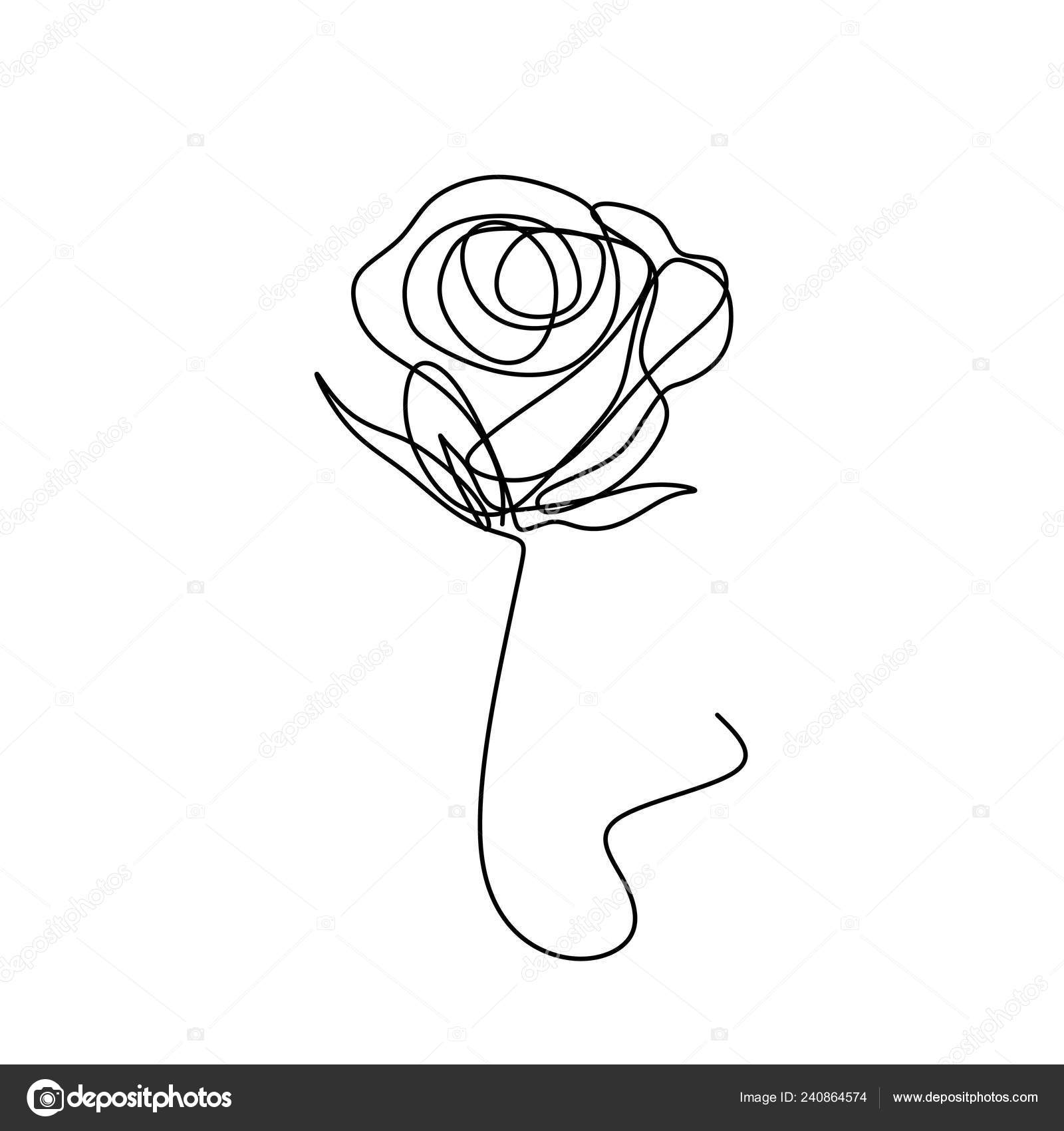Flower Continuous One Line Art Drawing Vector Illustration Awesome Rose Stock Vector Image by ...