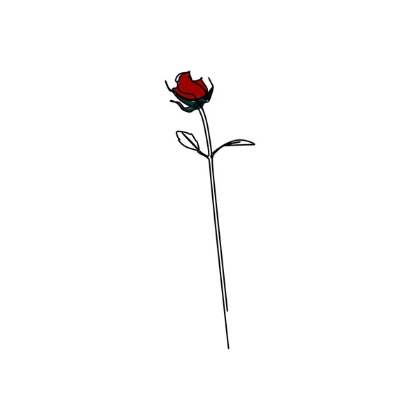Continuous line drawing of rose flower minimalism design isolated on white background Stock ...