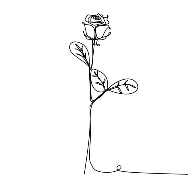 One Line Drawing Rose Flower Minimalist Design Isolated White Background Stock Vector by ...