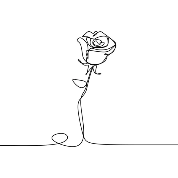 One Line Drawing Rose Flower Minimalist Design Isolated White Background Stock Vector by ...